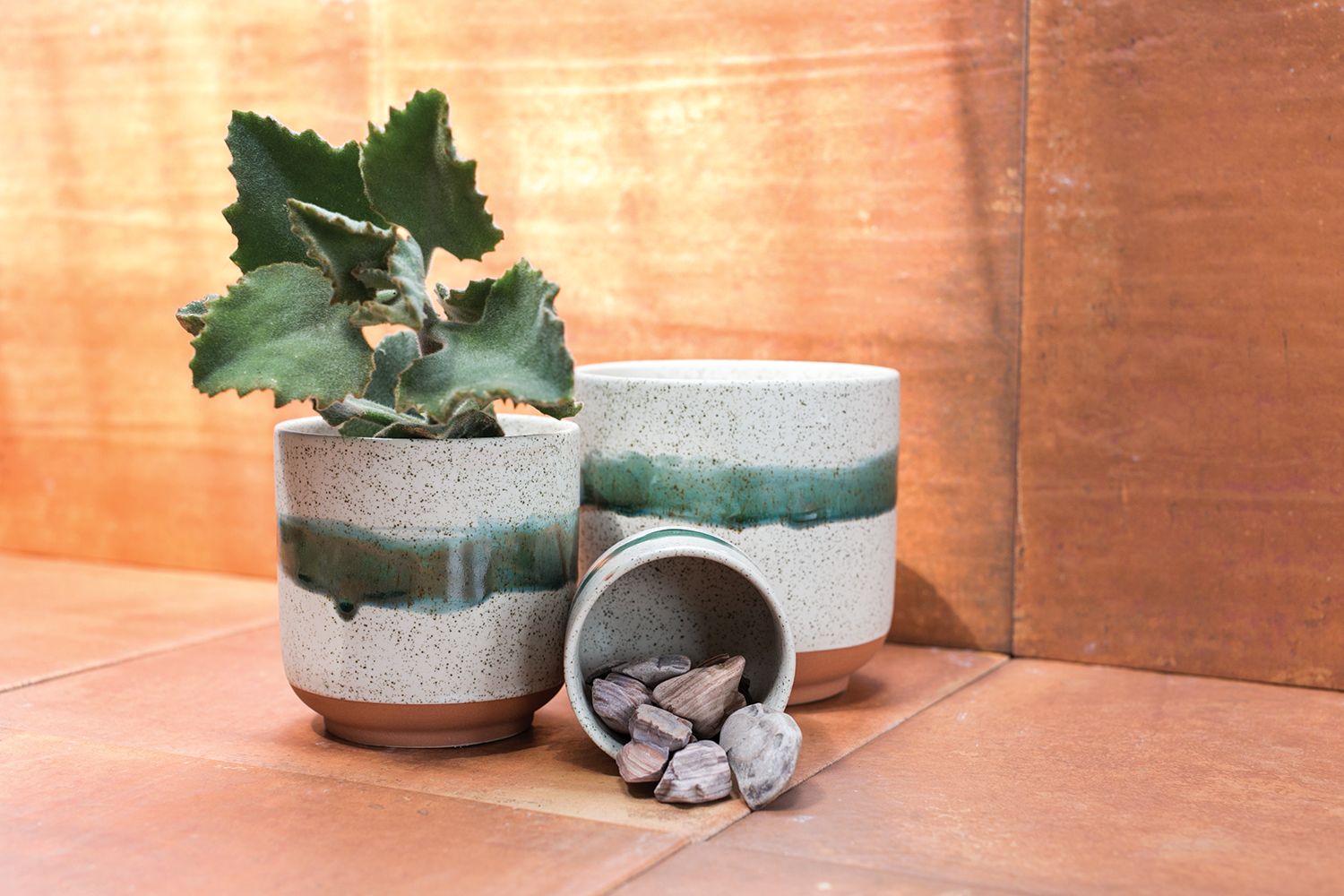 4" Mateo Cache Pot | Planterday: Your Mission-Driven Plant Shop